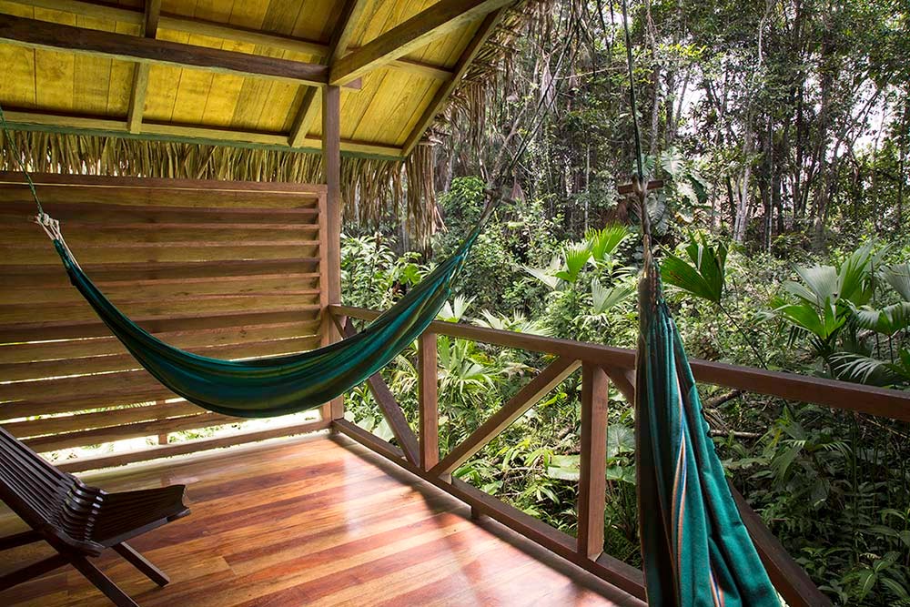 Bob's Photos: Amazon Rainforest Vacation in March