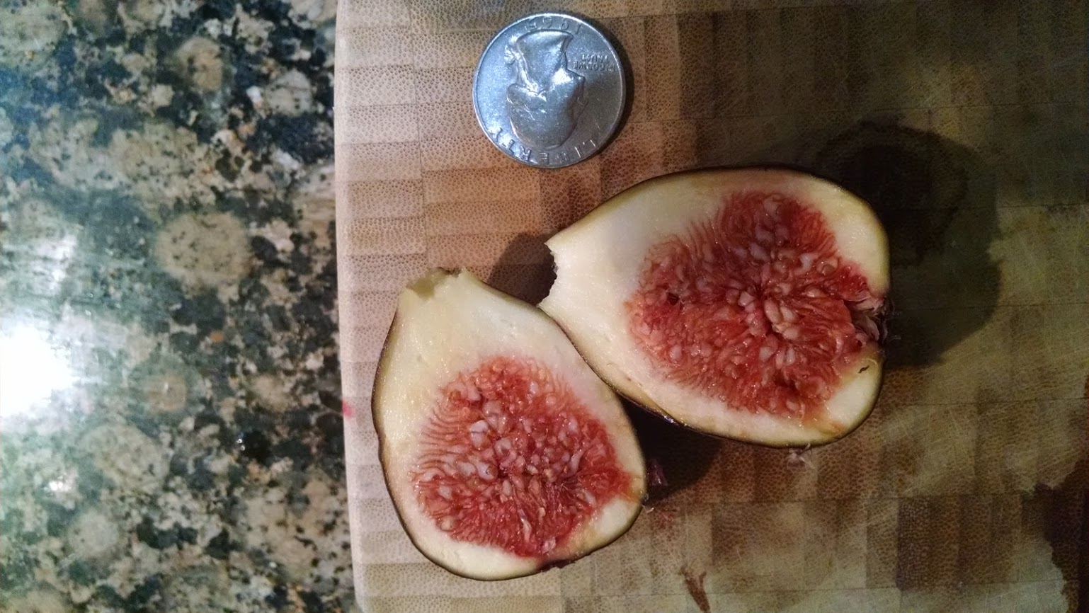Desert Valley Orchard: Petite Negra Fig