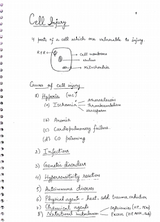 Pathology handwriting book PDF
