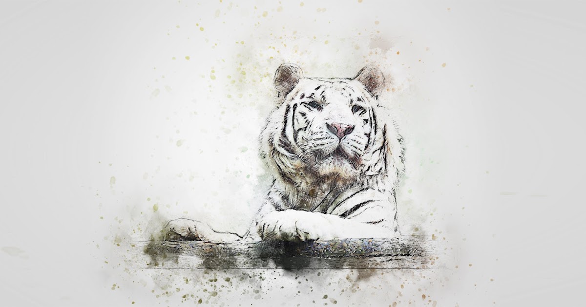 Ивилина Зафирова : Лов