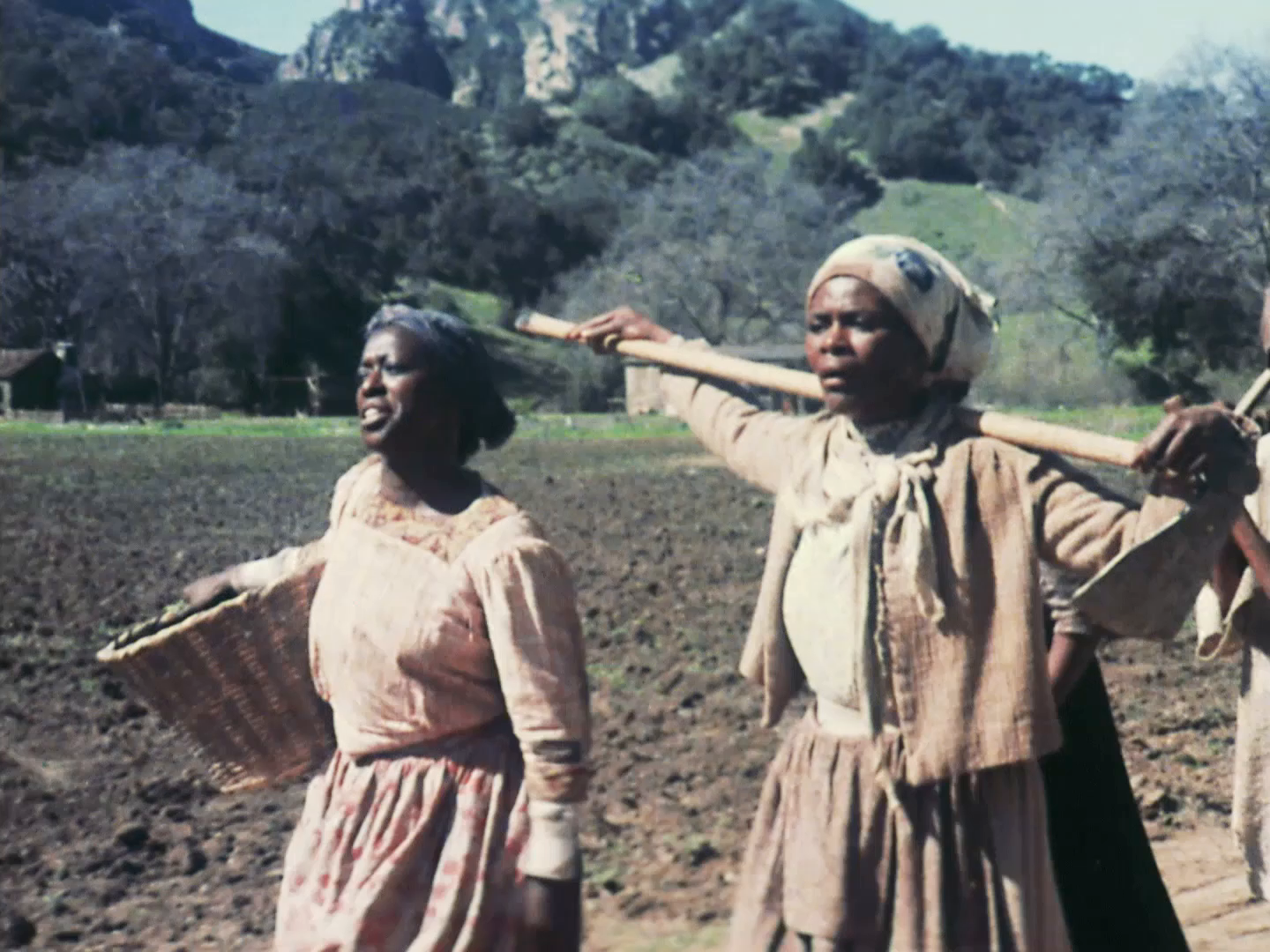 The Department of Afro American Research, Arts and Culture