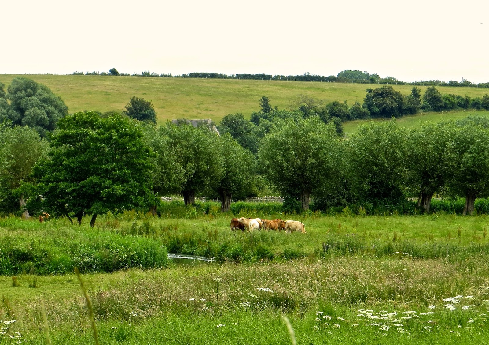 Curiouser and Curiouser: Asthall Manor and Sculptures in Stone