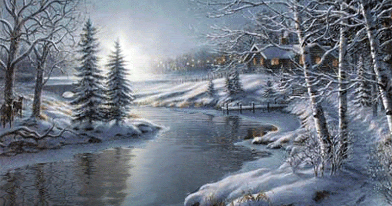 Gif_WINTER_Snowfall_ Animated Image_1 | Joy Design Studio