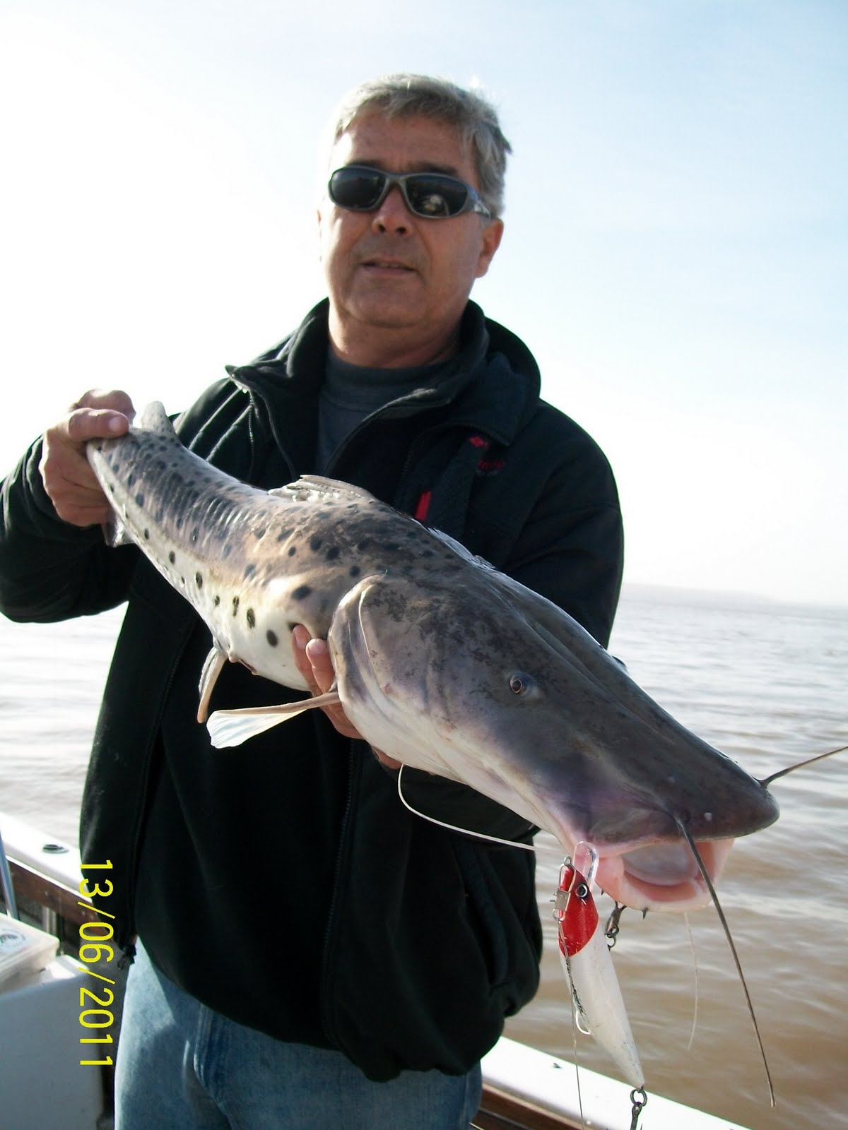 Pesca deportiva en San Nicolas con Matias Jalil: SURUBI DE 5 KILOS ...