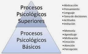 PSICOLOGÍA: 1.3 LOS PROCESOS PSICOLÓGICOS