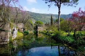 Caffè Letterari: La leggenda di Gussen