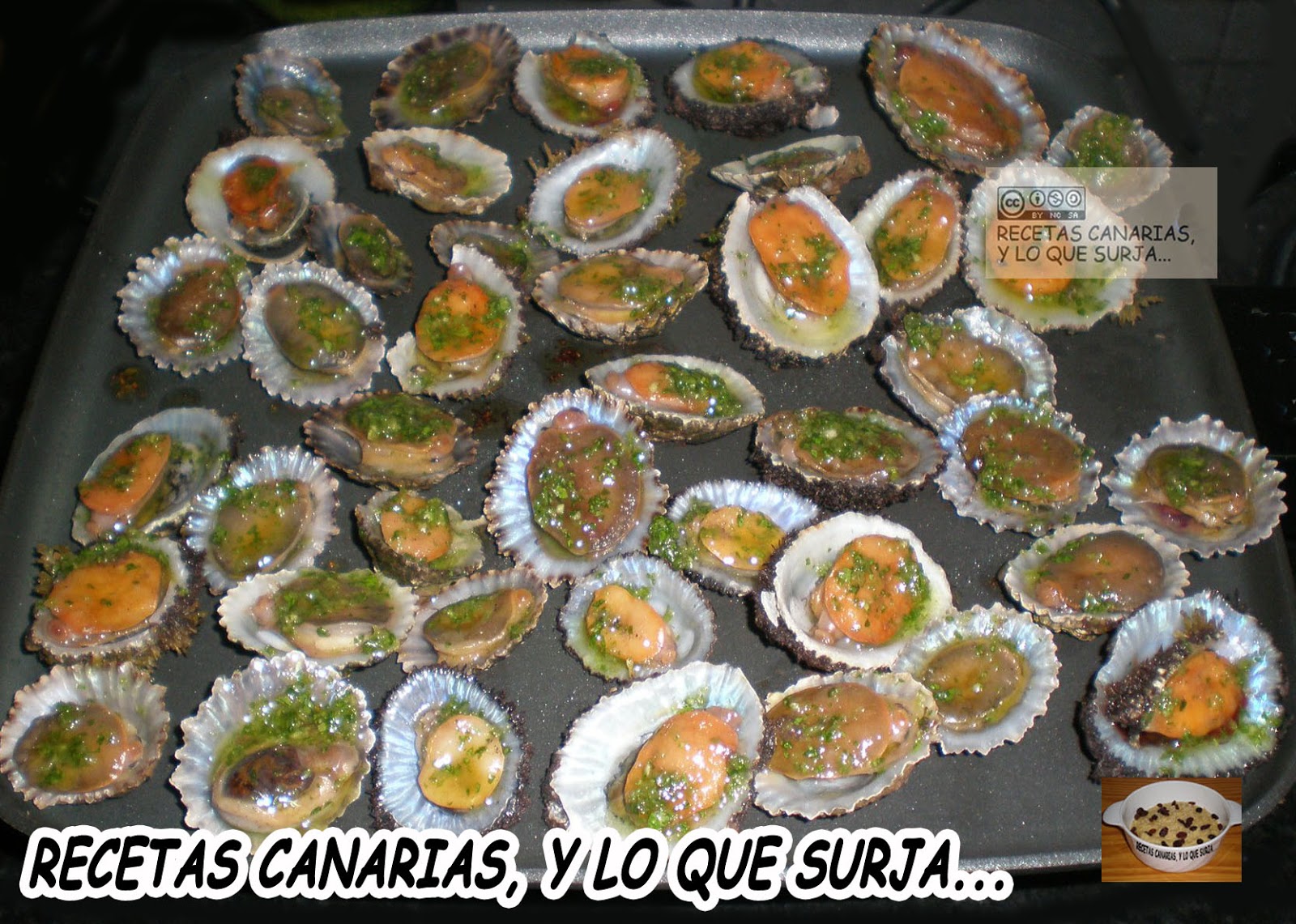 RECETAS CANARIAS, Y LO QUE SURJA...: LAPAS ASADAS