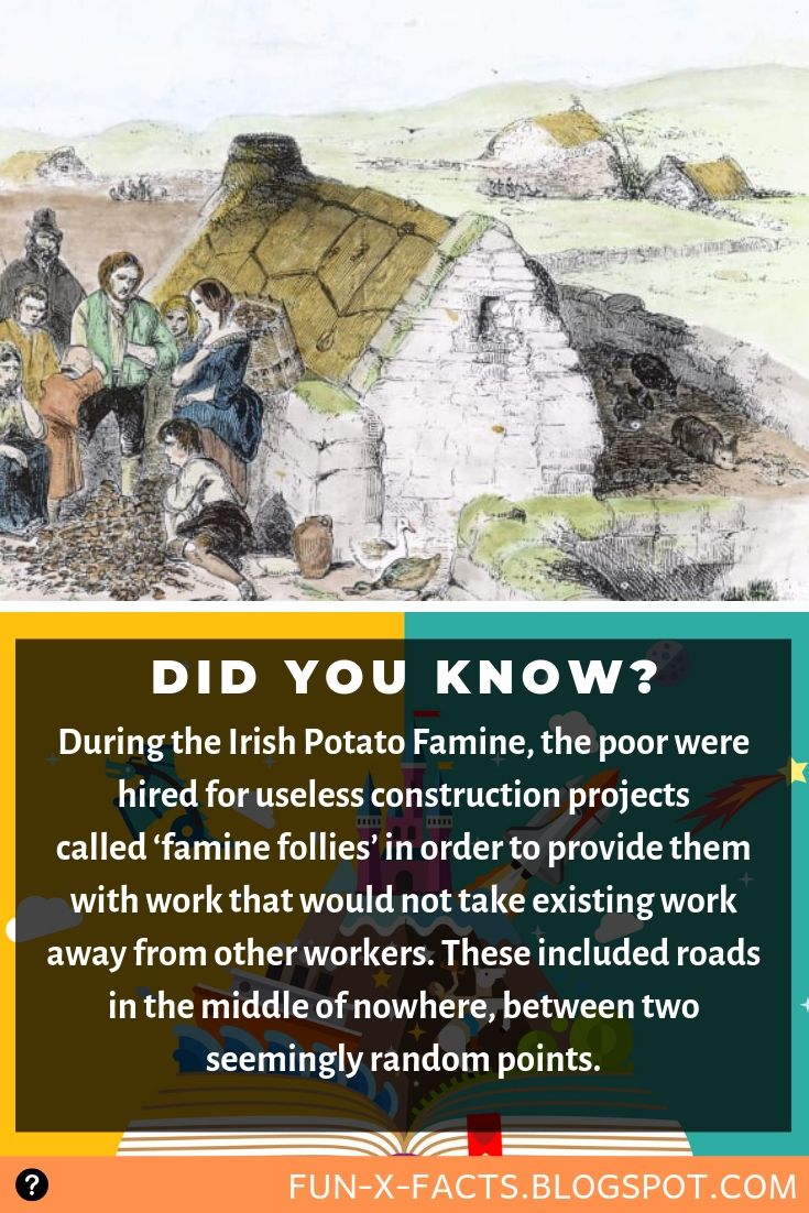 During the Irish Potato Famine, the poor were hired for useless ...