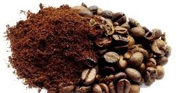 Cafetaleros podrán utilizar la broza del café para producir energía