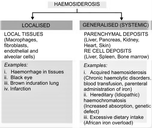 cellular injury ( part 3) l General pathology revision for dental ...