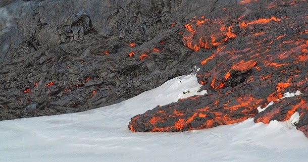 As imagens mais surpreendentes da semana | Ciência Online - Saúde ...