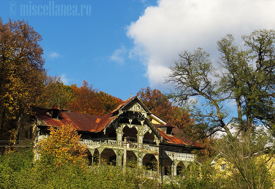 Miscellanea: Culorile toamnei la Govora