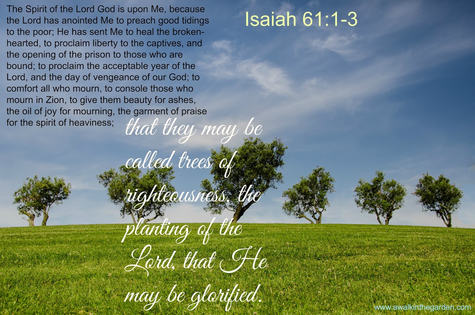 A Walk In The Garden: March 2016