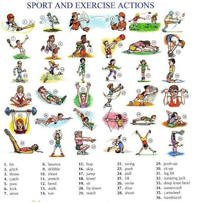 Teacher Rosa: ACTION VERBS (VERBOS DE ACCIÓN)