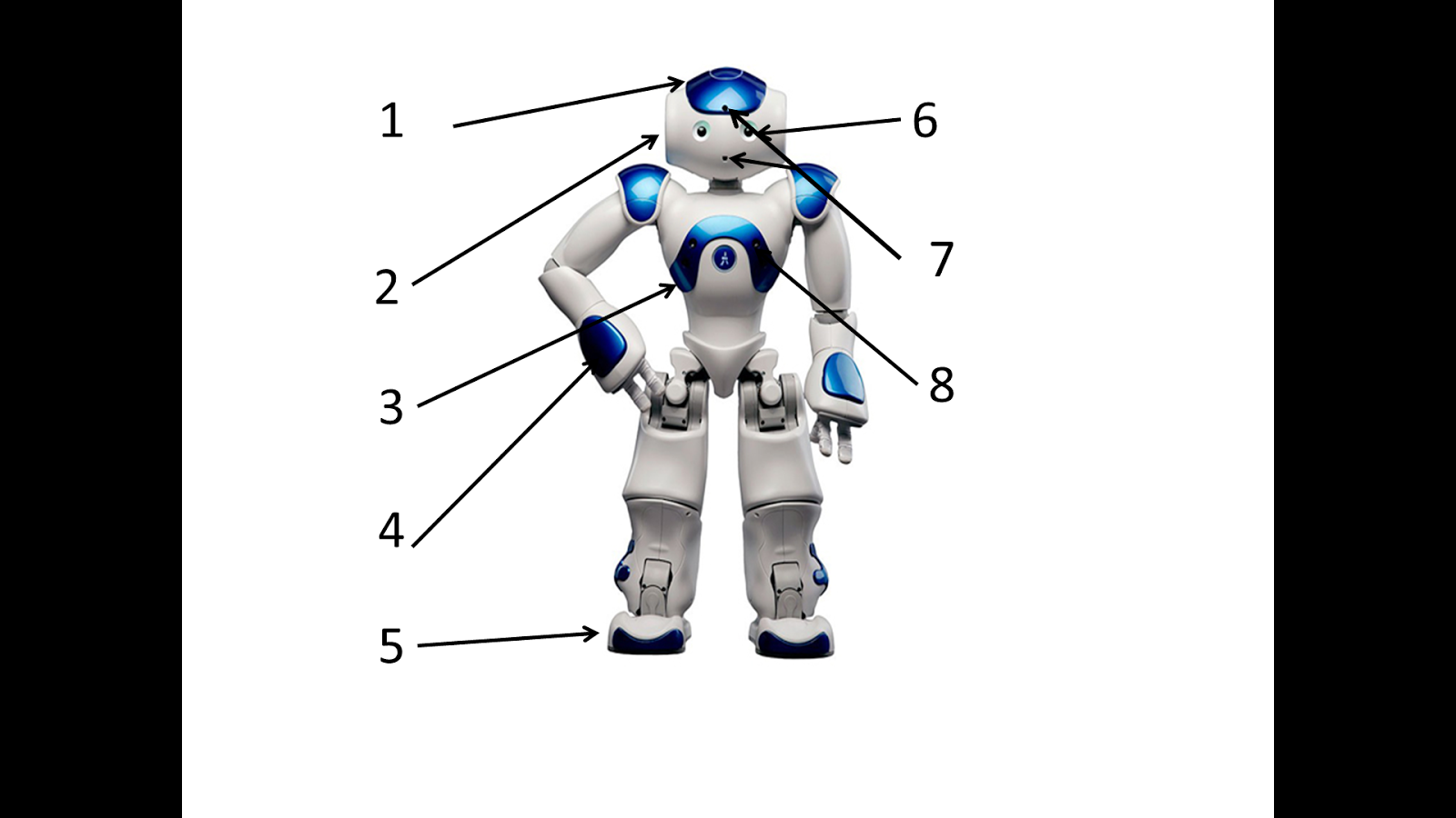 structure of the robot NAO