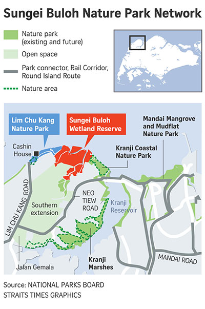 Celebrating Singapore Shores!: New Sungei Buloh Nature Park Network ...