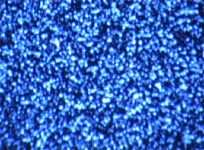 BLCKDGRD: The Radio Played Ecstatic Static