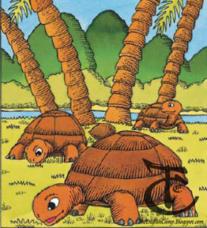 How The Tortoise Got Its Shell ~ The English Camp