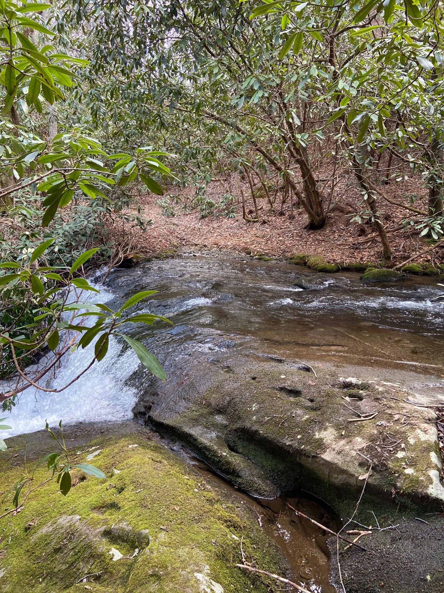 Blissful Hiking: A thru hike of the Benton MacKaye Trail!