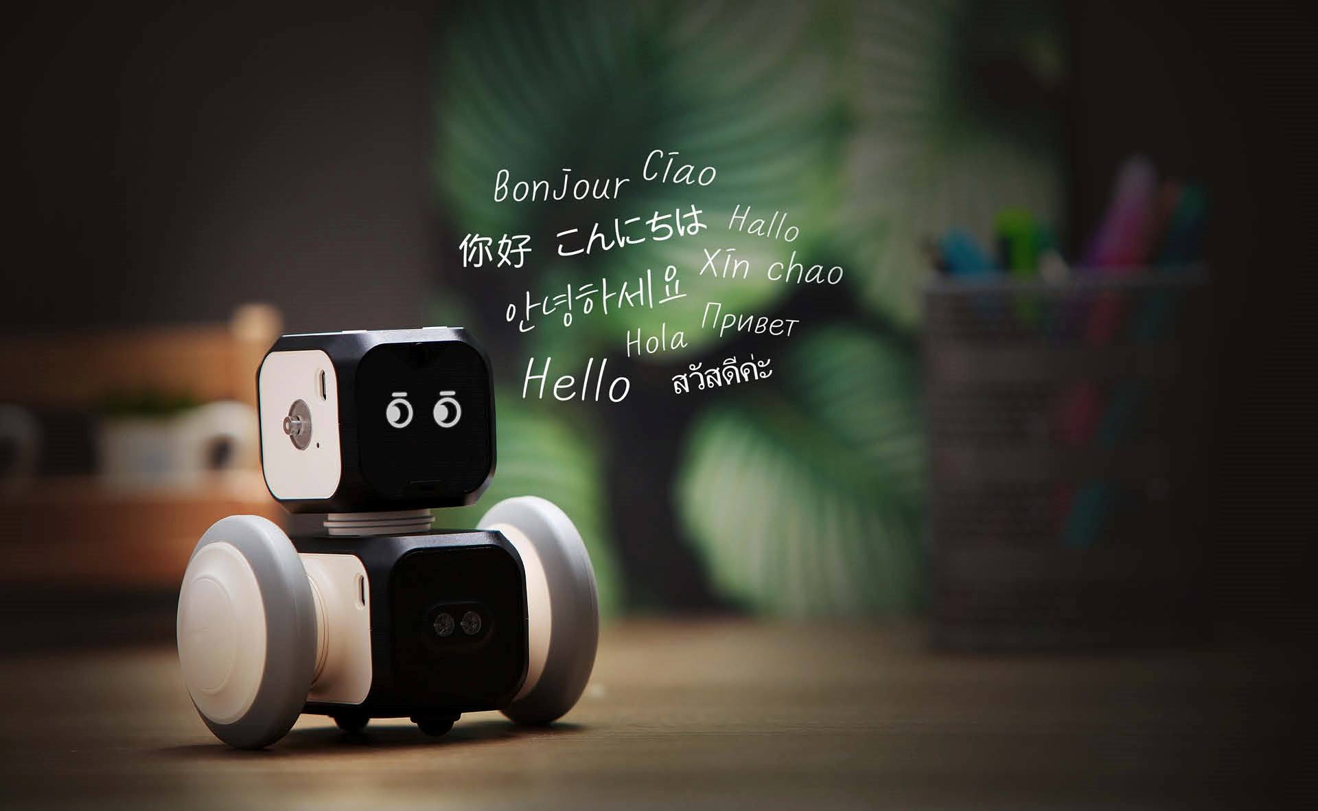 CUBROID ARTIBO AI Coding Robot for Kids