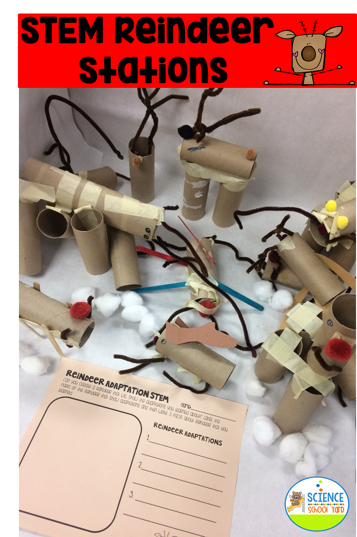 STEM Reindeer Activity and Science Connections - The Science School Yard