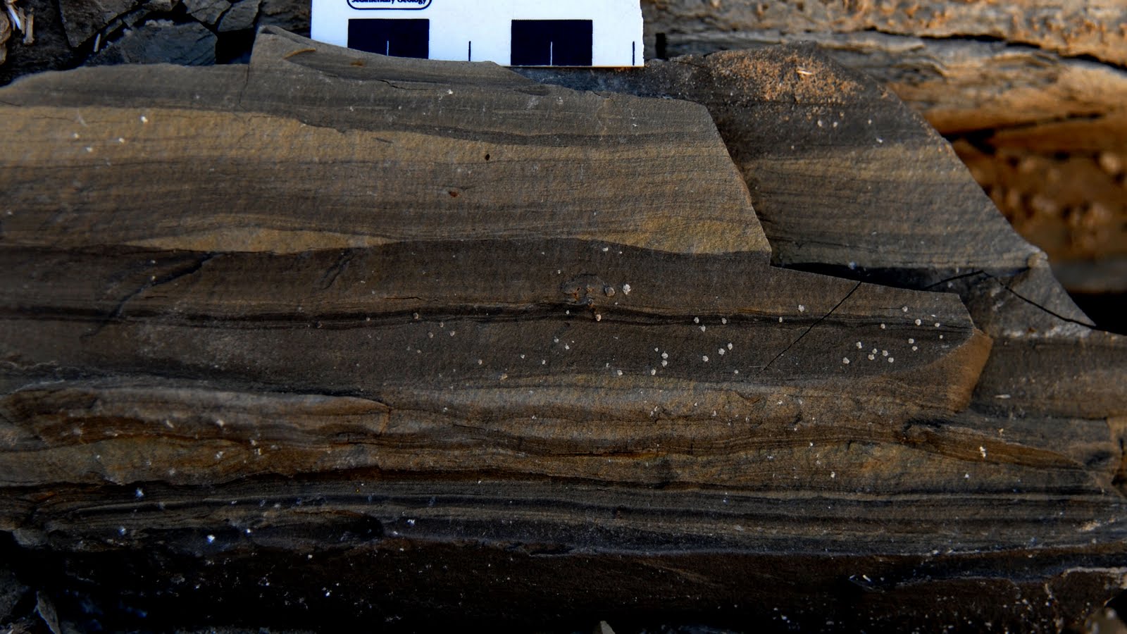 Sedimentary Structures and Bedforms