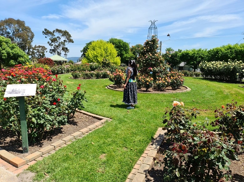 When life is full of roses | Morwell Centenary Rose Garden - For Urban ...