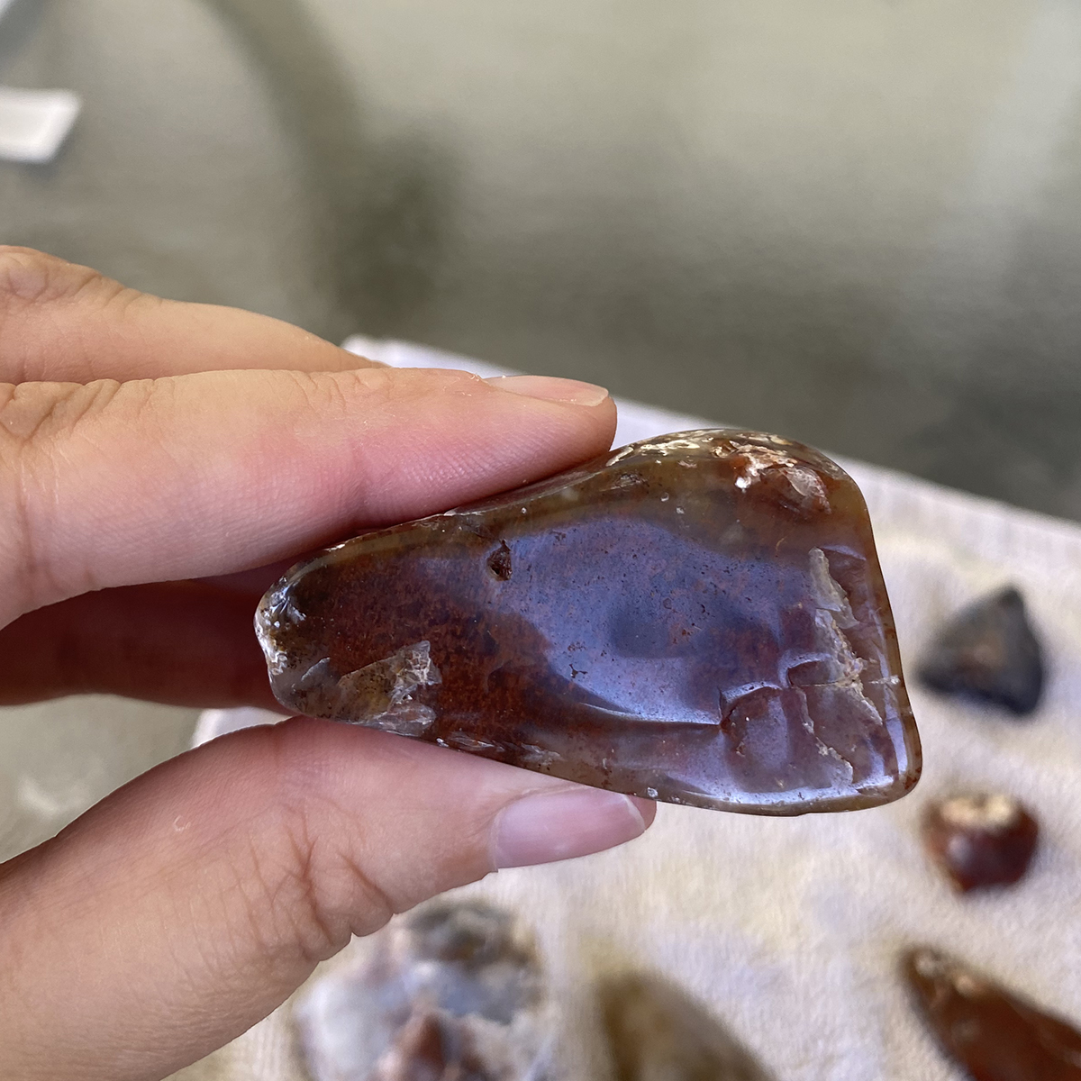 A school of fish: Polished Agate from Brian Head
