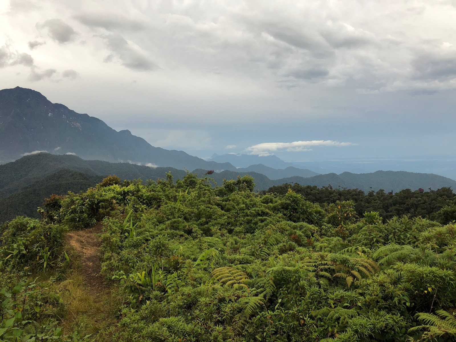 ZOOTHERA BIRDING BLOG: Montezuma - Tatama National Park