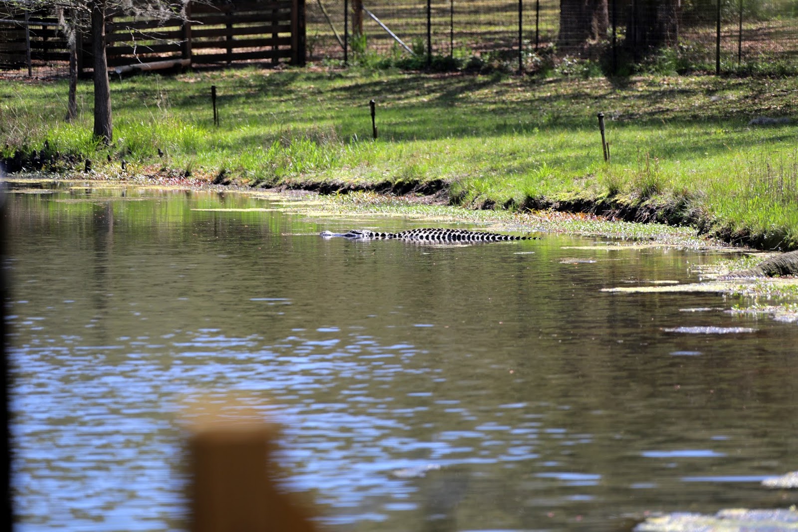 My Kampah: 4/11/19 GreenBrook Garden