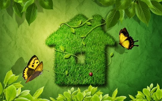 Beautiful Creative Nature Wallpapers - Top HD Wallpapers