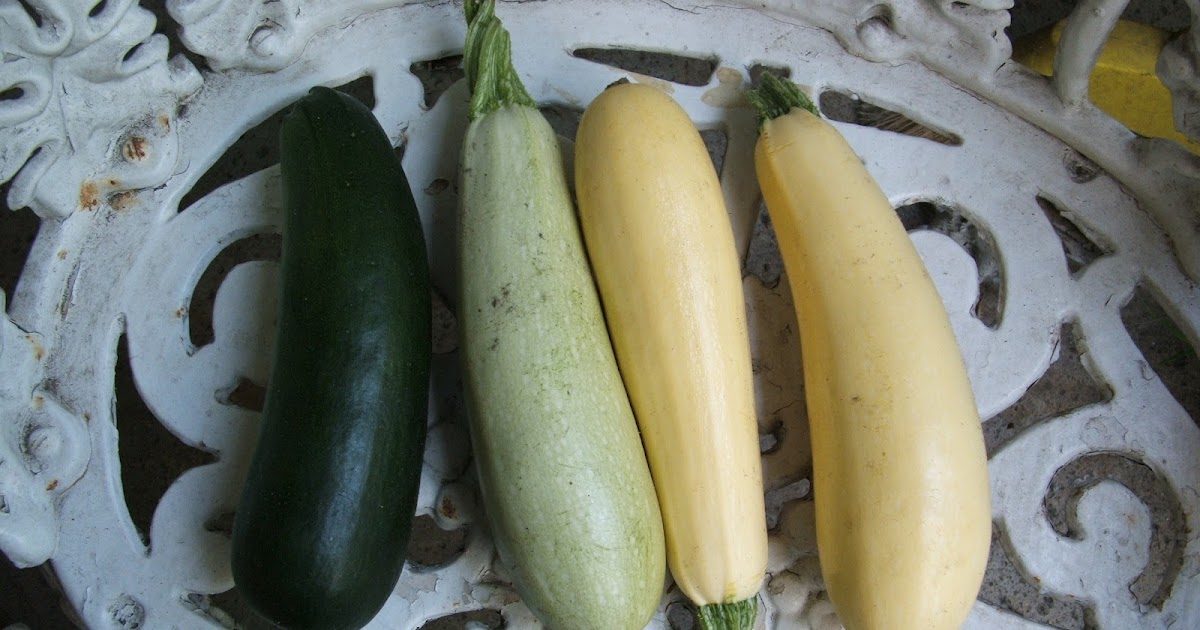 God's Growing Garden: Light, Medium and Dark Zucchinis