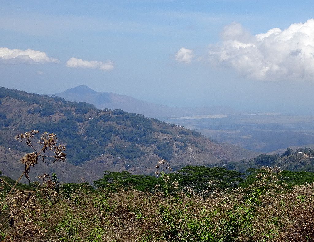 O Livro das Contradisoens: Saudades do Tatamailau...