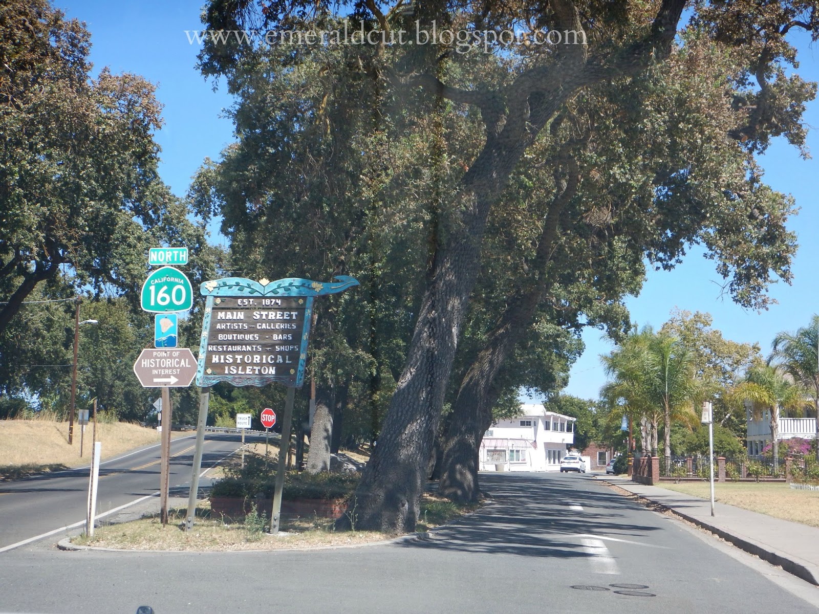 EmeraldCut | The Introverted Writer Blog: Sacramento Delta Trip Part ...