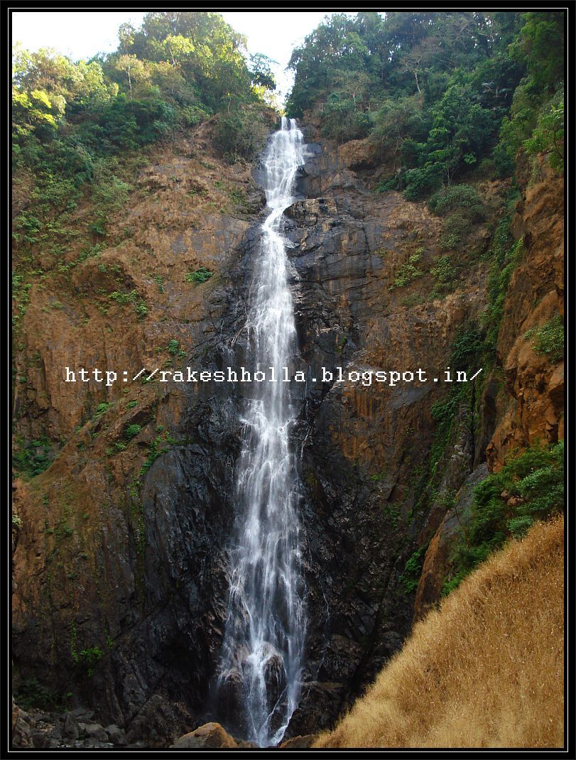 The Voice of Greenery - Trekking and Travelling in Western Ghats: Dabbe ...