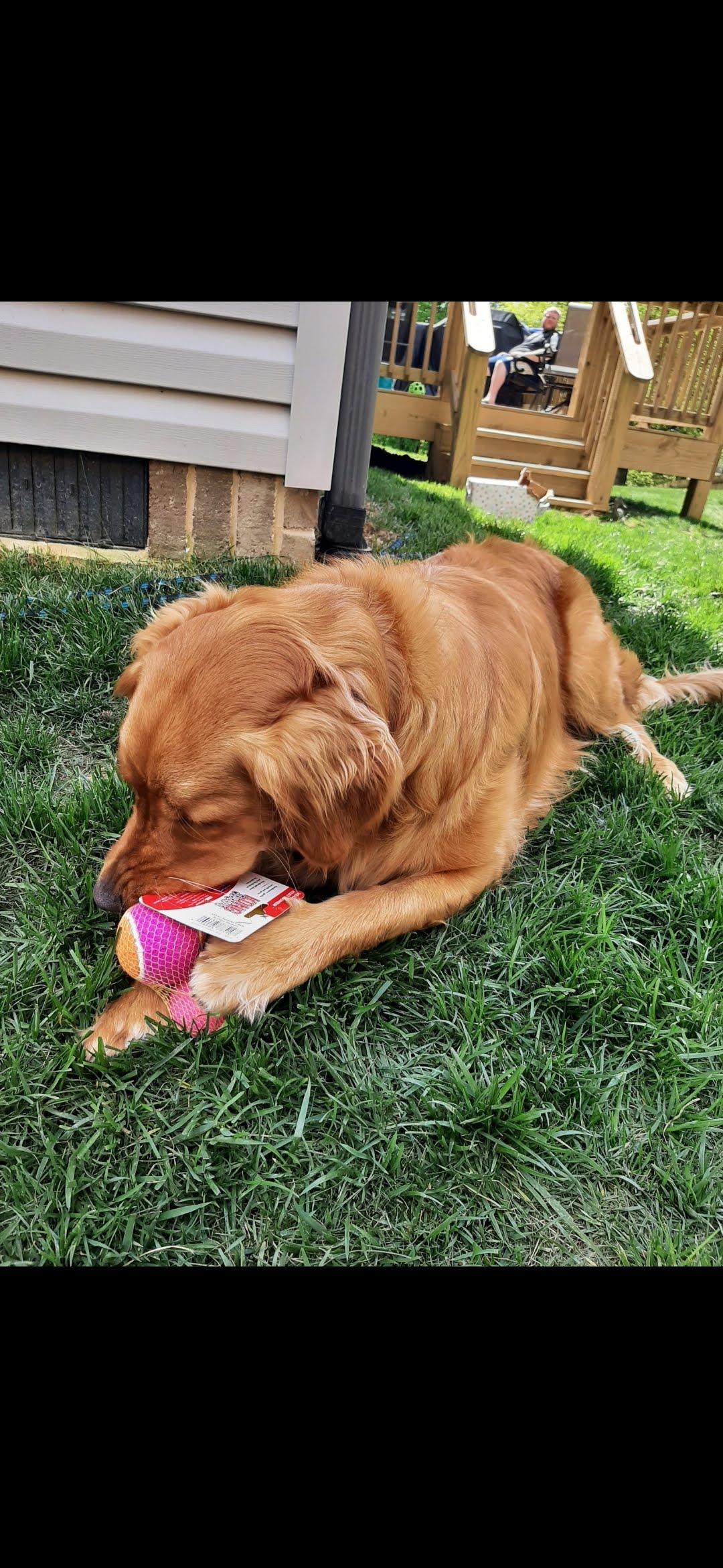 Newest Raborns on the Block!: Lucy Cove Raborn Growth Updates!