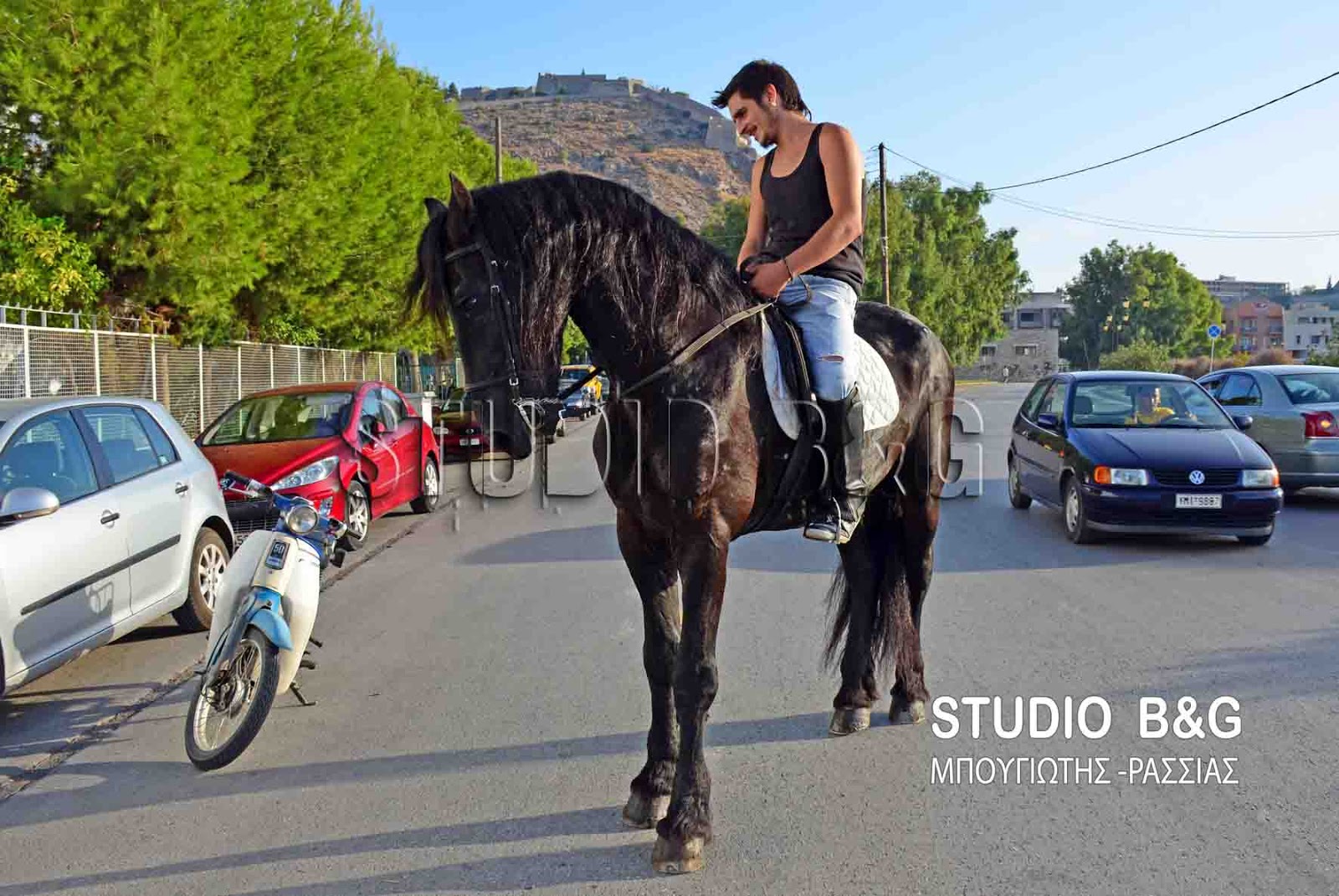 Αργολικός Ποιμήν: ΝΑΥΠΛΙΟ ΠΑΙΧΝΙΔΙΑ ΜΕ ΤΑ ΑΛΟΓΑ ΣΤΟ ΛΙΜΑΝΙ ΝΑΥΠΛΙΟΥ
