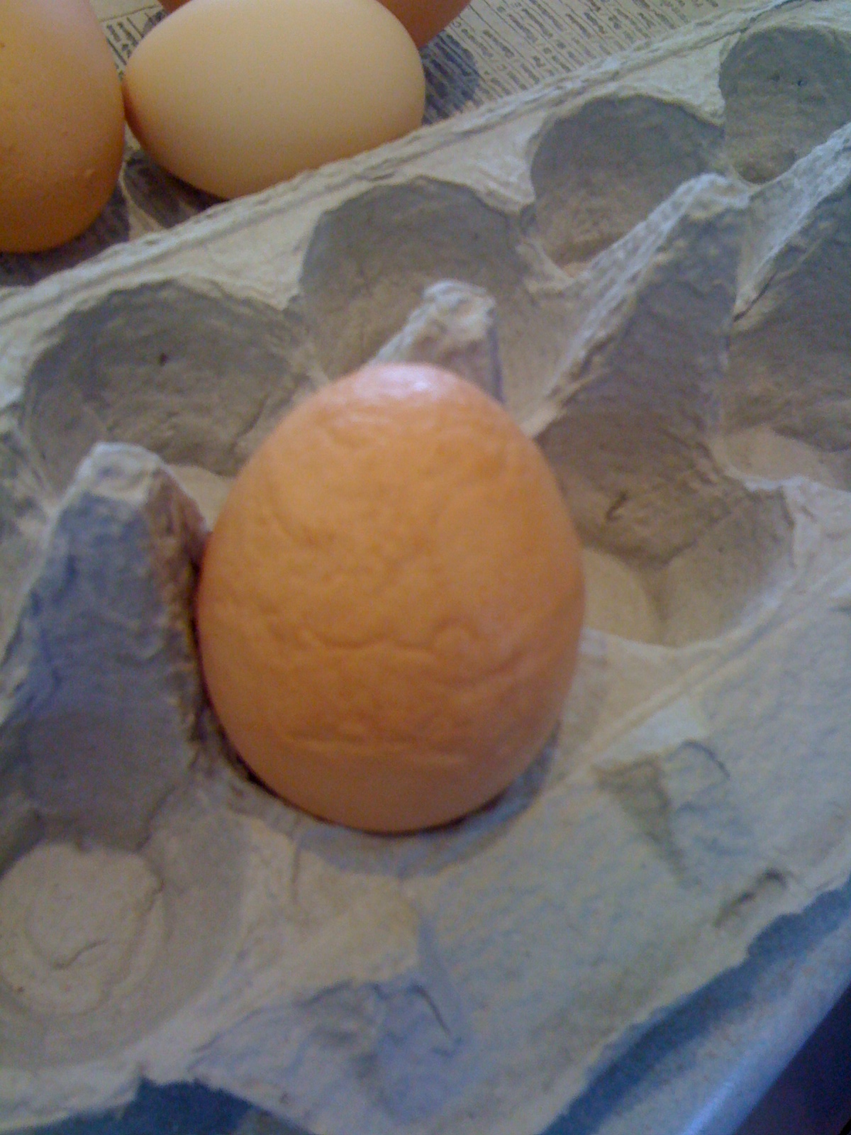 Gael Glen Farm & Apiary: Egg Anomalies