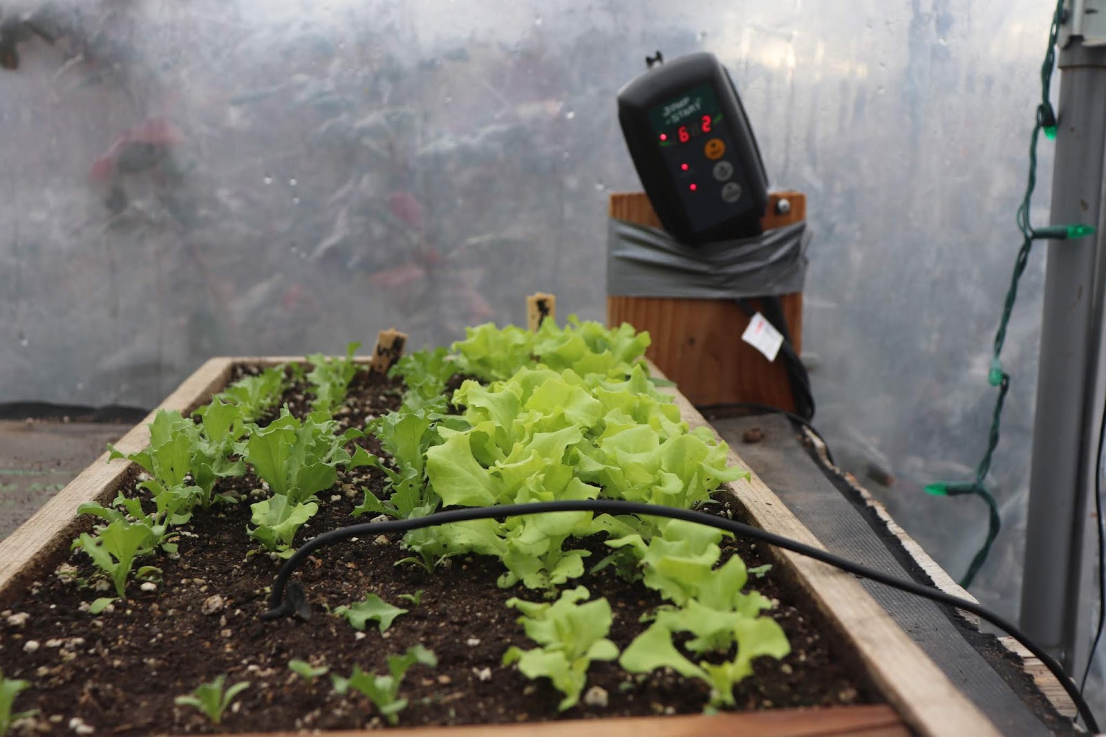 Tour of River School Farm in Reno, NV