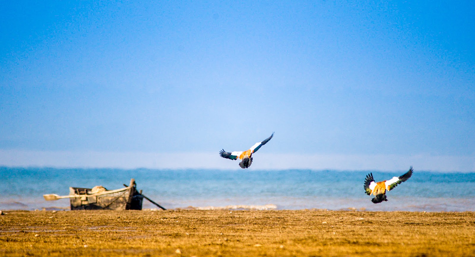 Simplicity and Minimalism - An Awesome Photography Composition Rules ...