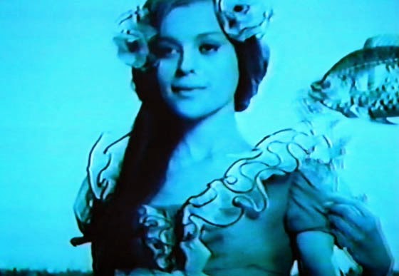 The Cinema Of Eastern Europe Film Still Of The Month On The Comet Na Komet 1970 Karel Zeman The Cinema Of Eastern Europe Film Still Of The Month On The Comet Na Komet 1970 Karel Zeman
