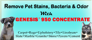 Genesis 950 Cleaning Tips And Tricks: Remove Pet Stains AND Odors