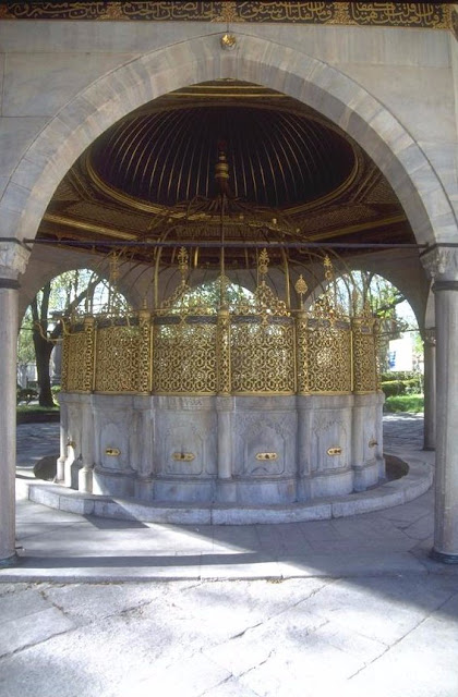 Sheikhy Notes: Seven Different types of Sheikh