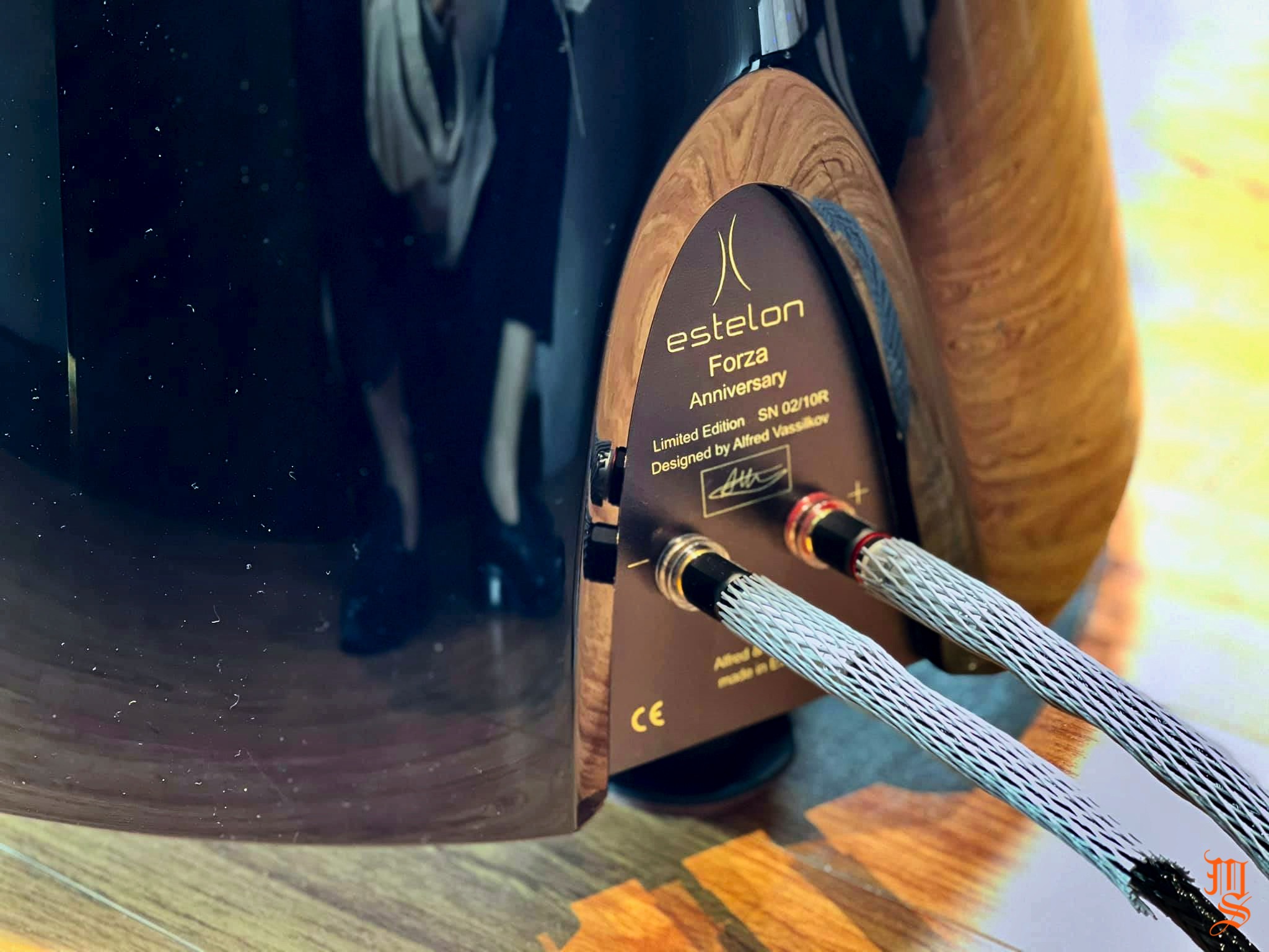 ESTELON FORZA ANNIVERSARY EDITION – M & S | Ultimate High-Fidelity