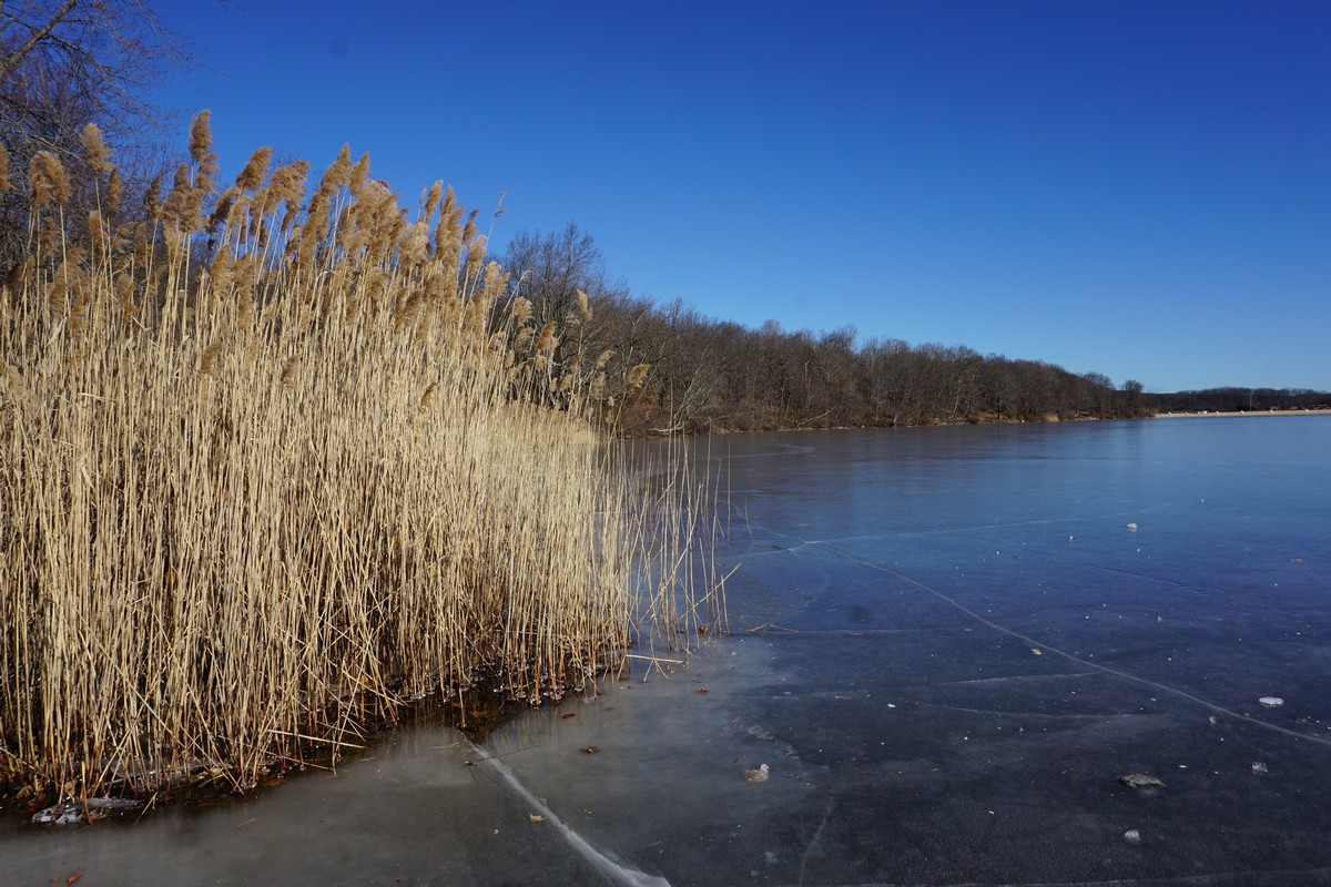Harriman Hiker: Harriman State Park and Beyond: Lake Welch Shoreline ...