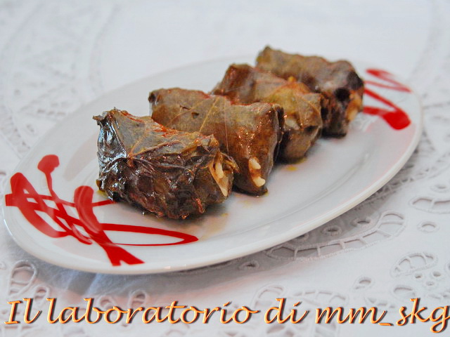 IL LABORATORIO DI MARINA: ΝΤΟΛΜΑΔΑΚΙΑ ΜΕ ΚΙΜΑ // DOLMADAKIA (INVOLTINI ...