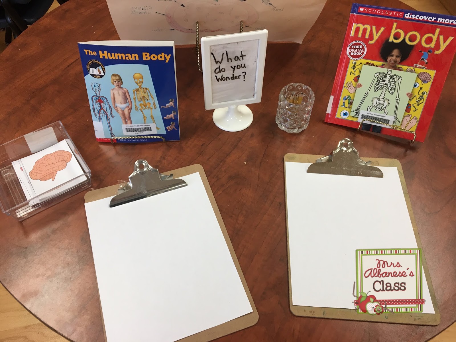 Weekly Wrap-Up -> Nov. 5-9 | Mrs. Albanese's Kindergarten Class