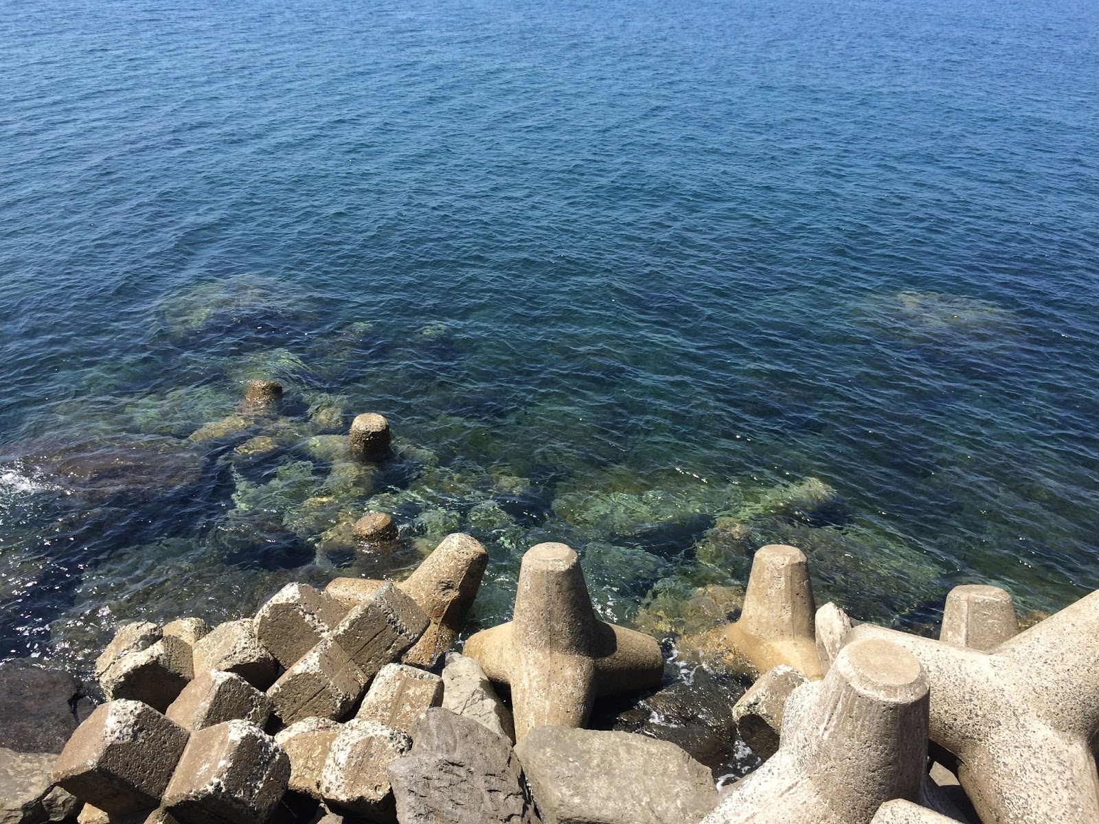 Chasing Thrills: Travel : Ainoshima, Fukuoka