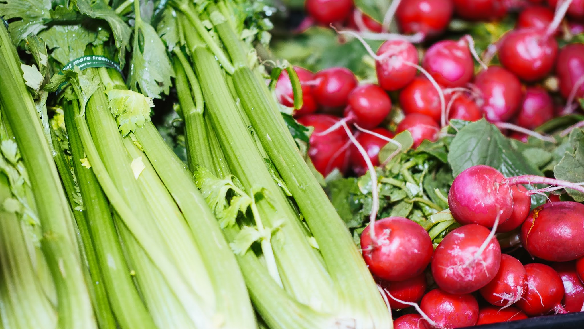 high-blood-pressure-in-the-sun-17-vegetables-that-are-the-best-for
