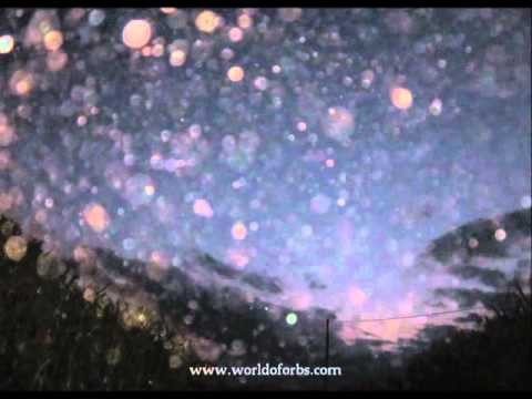 Cindy's Open House Blog: The Truth about Seeing Spirited Sparkles